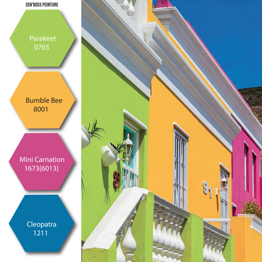 COULEURS & TENDANCES – Sen Boss Peinture